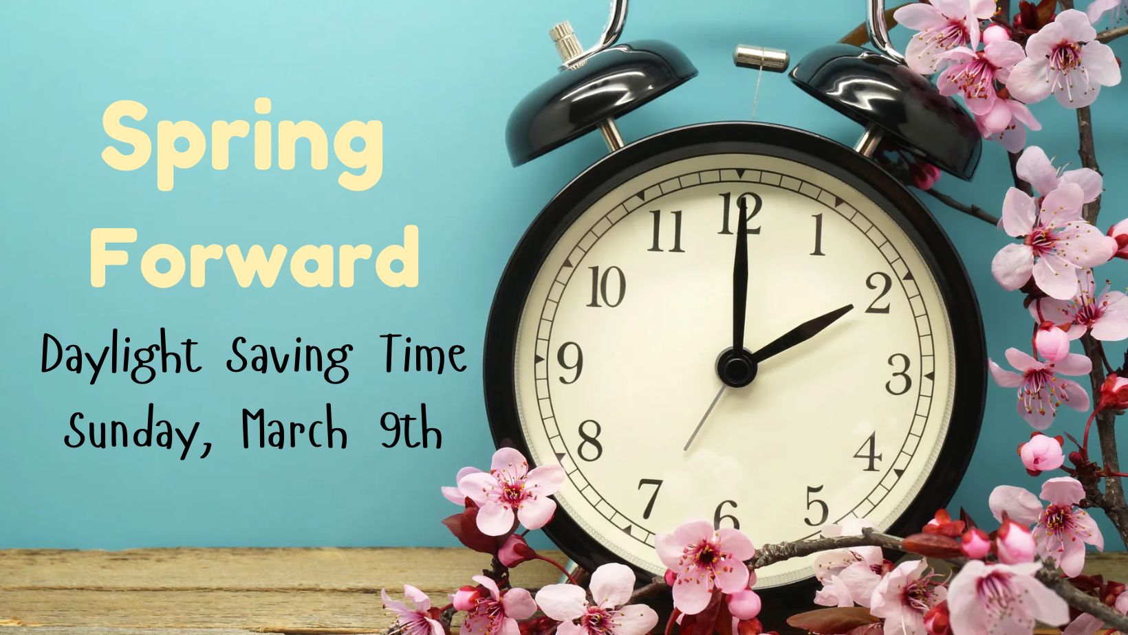 Home [ccschools.k12tn.net]