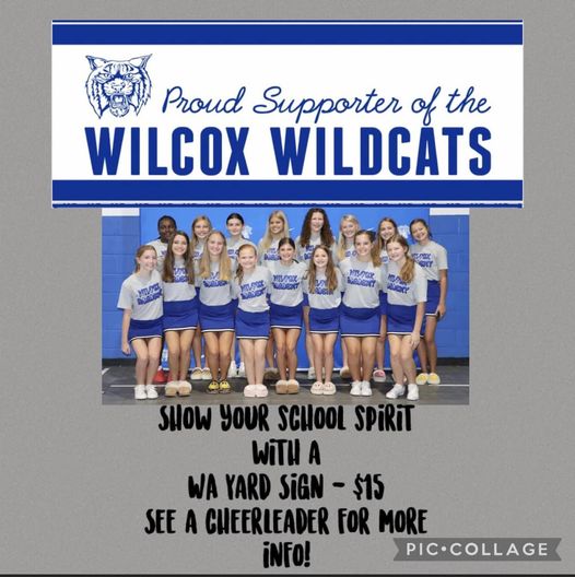 Home [wilcoxacademy.com]