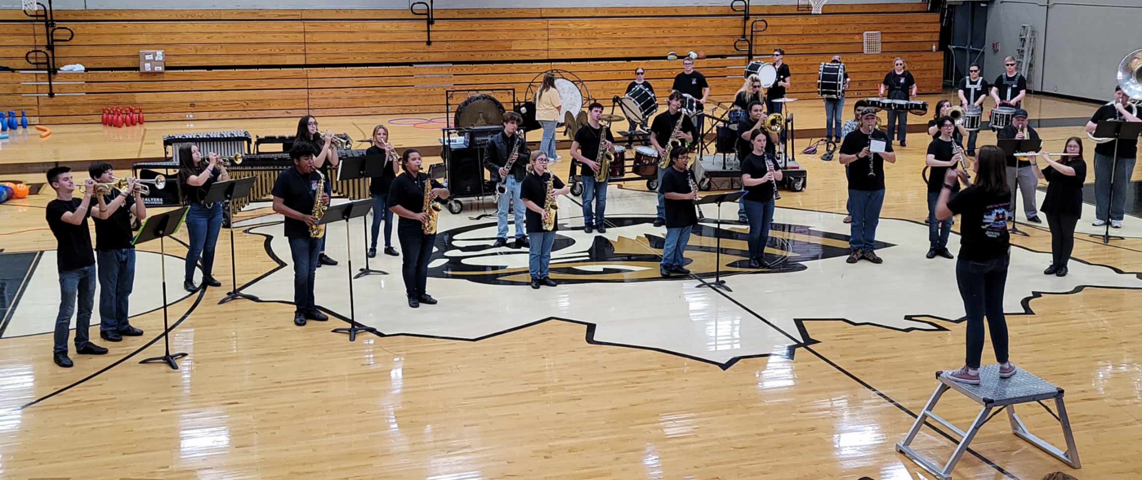 Home [dchstigers.com]